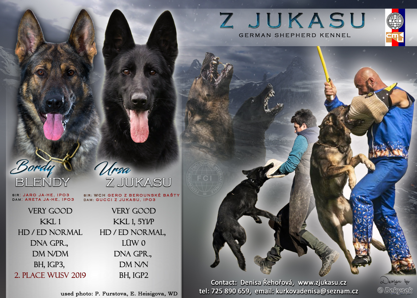 Offer Of Puppies Chovatelsk Stanice Z Jukasu offer-of-puppies-chovatelsk-stanice-z-jukasu